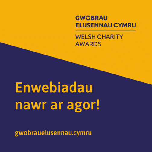 Gwobrau Elusennau Cymru 2024