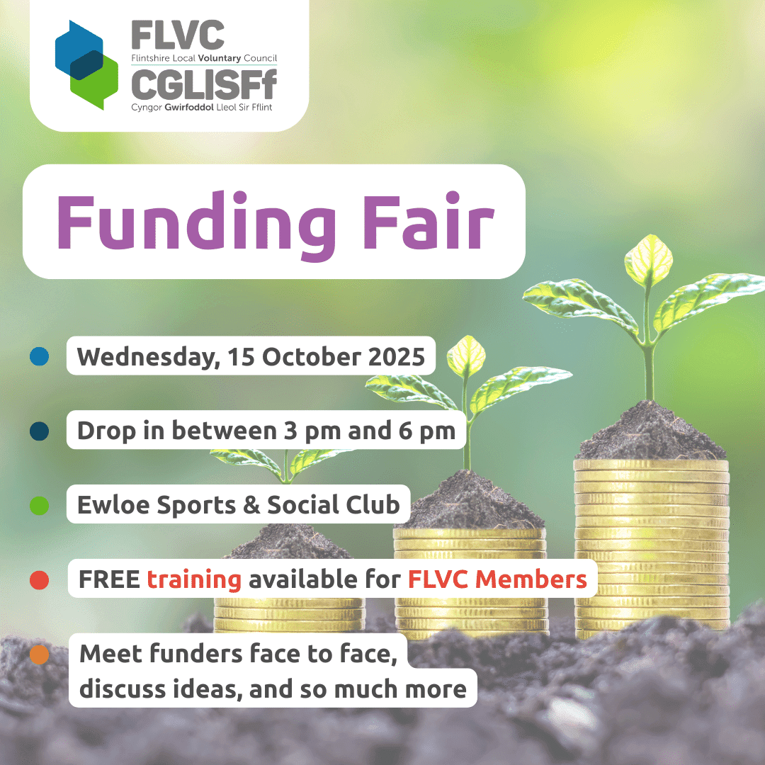 Flintshire Local Voluntary Council